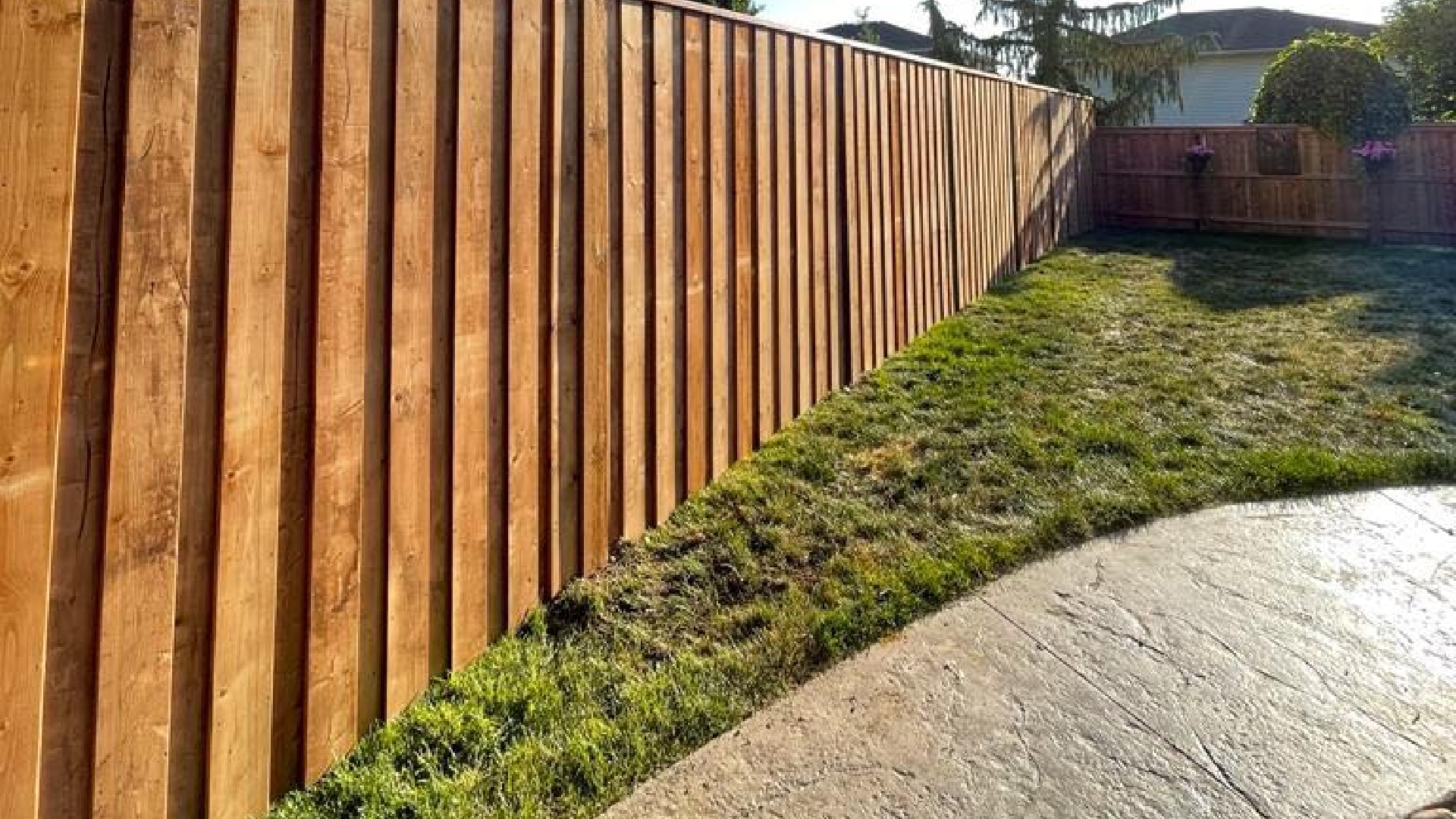 Wood Fencing | Spacefencing